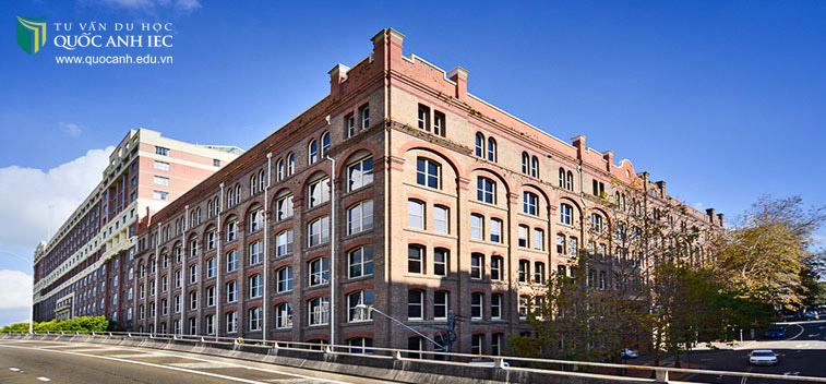 Think Education Group | Du học Quốc Anh